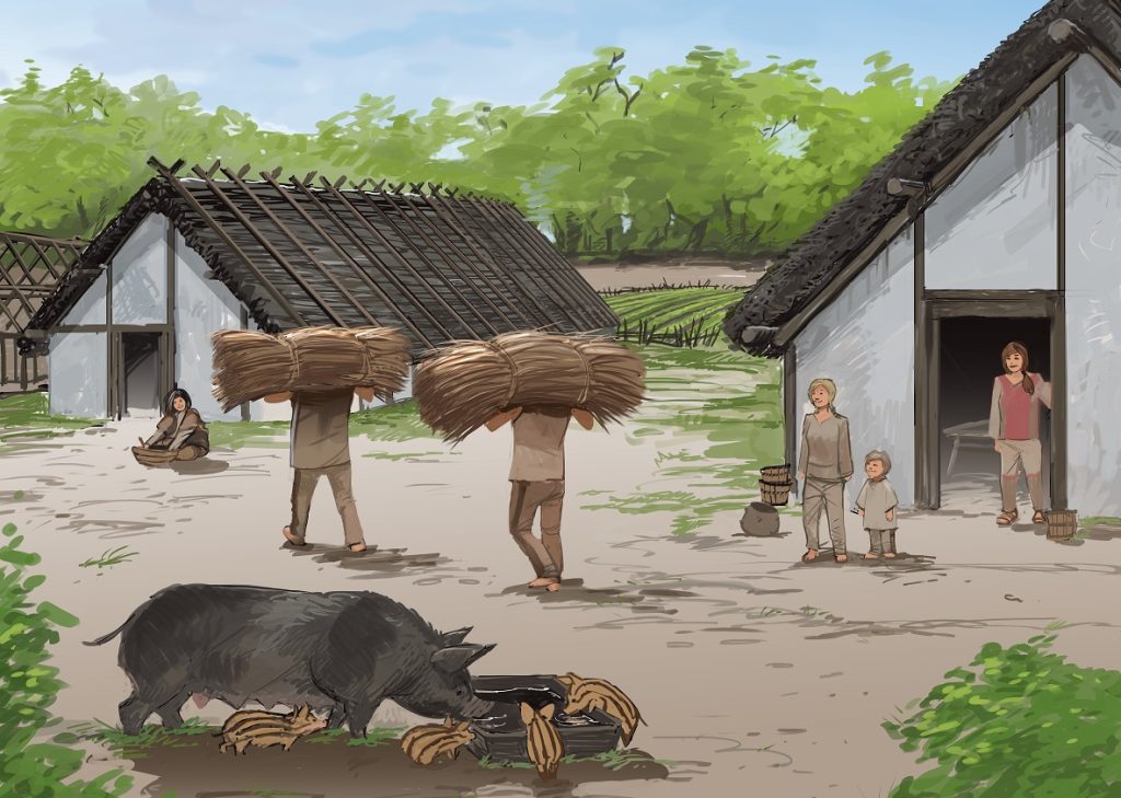 Boeren - Limburgs Museum