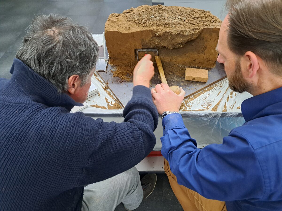 De muntvondst van Buggenum - Limburgs Museum