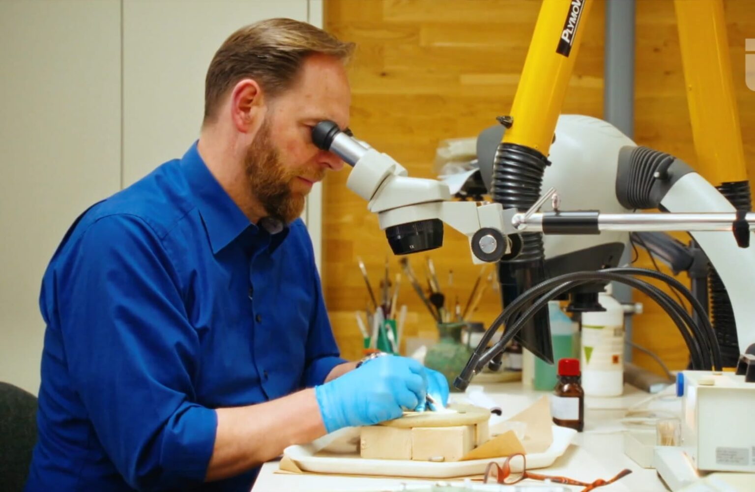 De muntvondst van Buggenum - Limburgs Museum